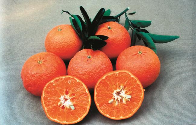 Spoon sweets - Mandarin | Cyprus Food Museum