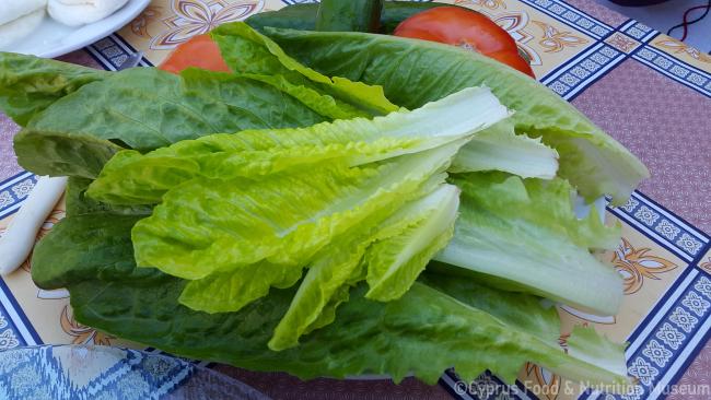 Marouli - lettuce | Cyprus Food Museum
